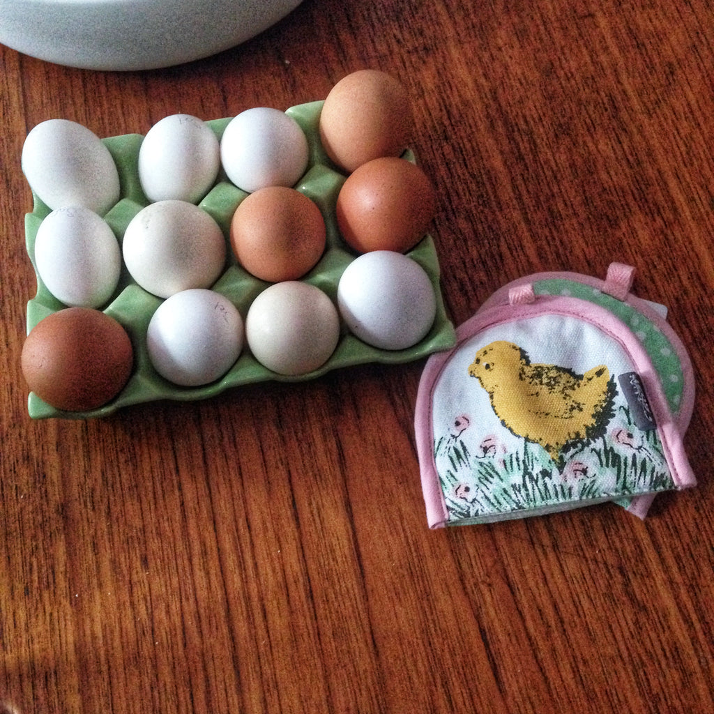 FAQs for Backyard Chickens Laying, Buying and Best Breeds for Children ...